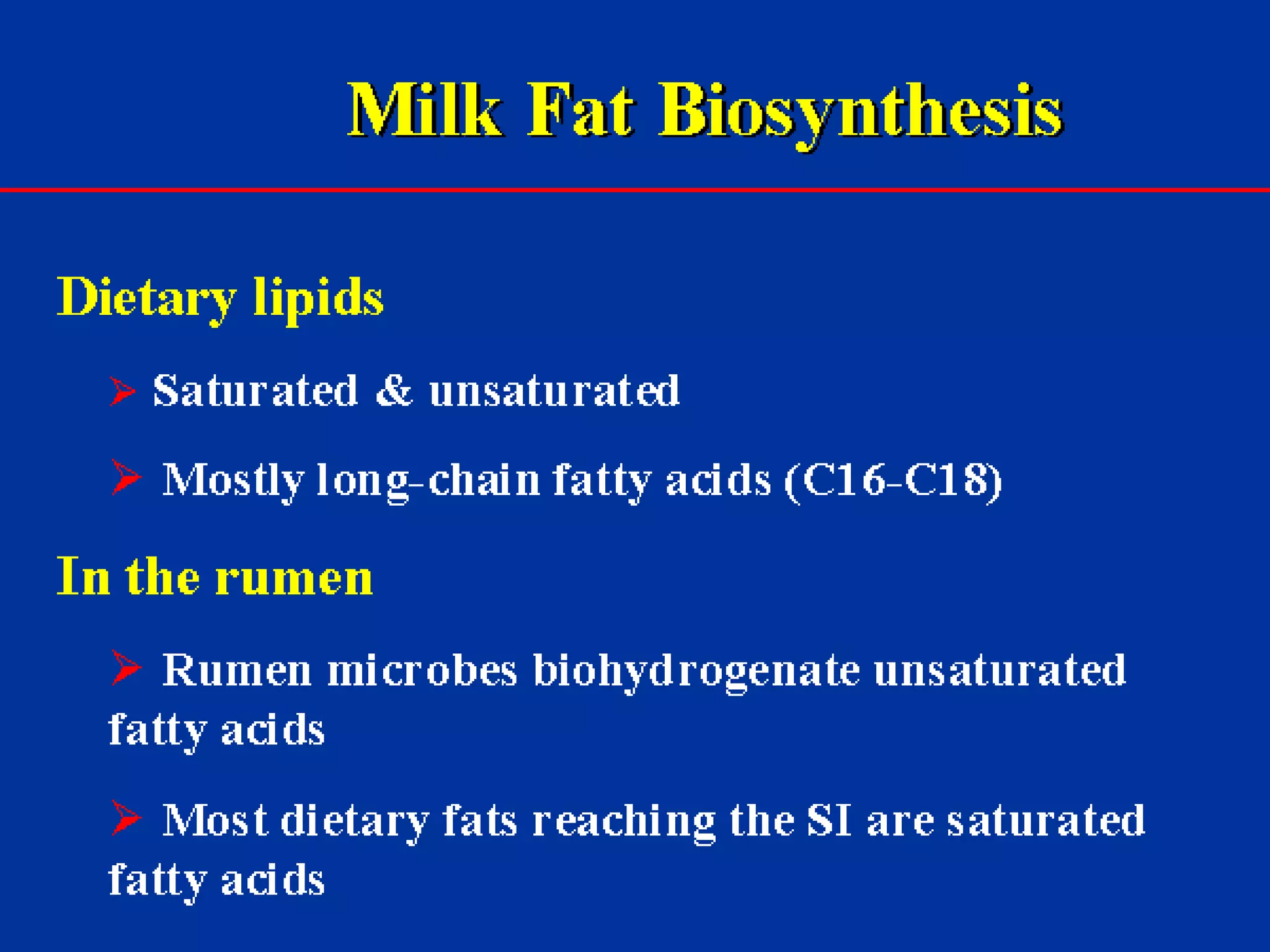 Milk Biosynthesis.pptx