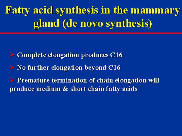 Milk Biosynthesis.pptx