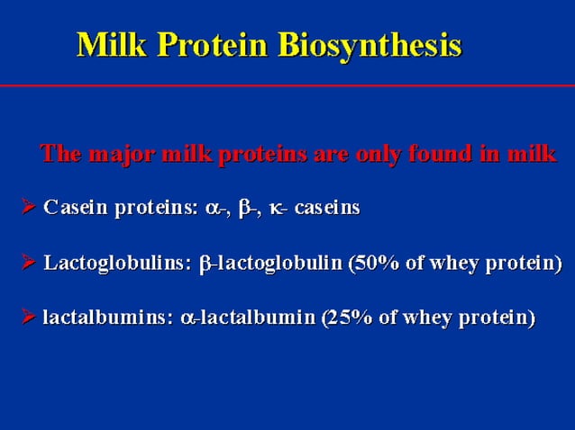 Milk Biosynthesis.pptx