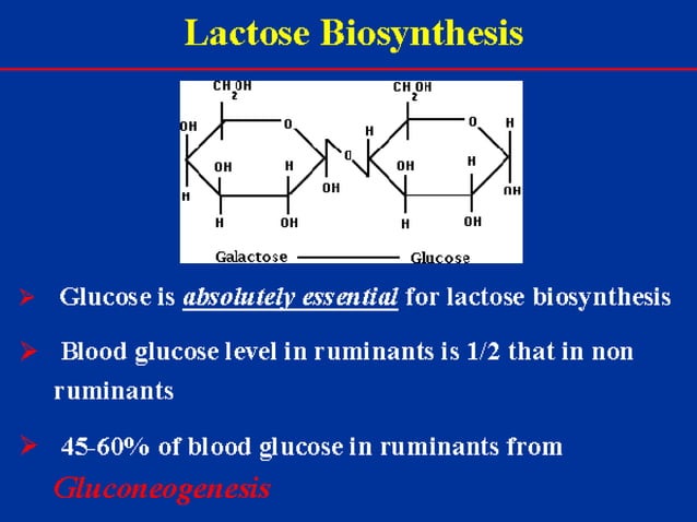 Milk Biosynthesis.pptx