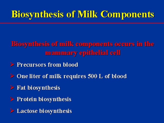 Milk Biosynthesis.pptx