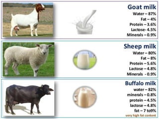 Milk composition | PDF