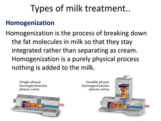 Milk, cream, yoghurt and cheese | PPT