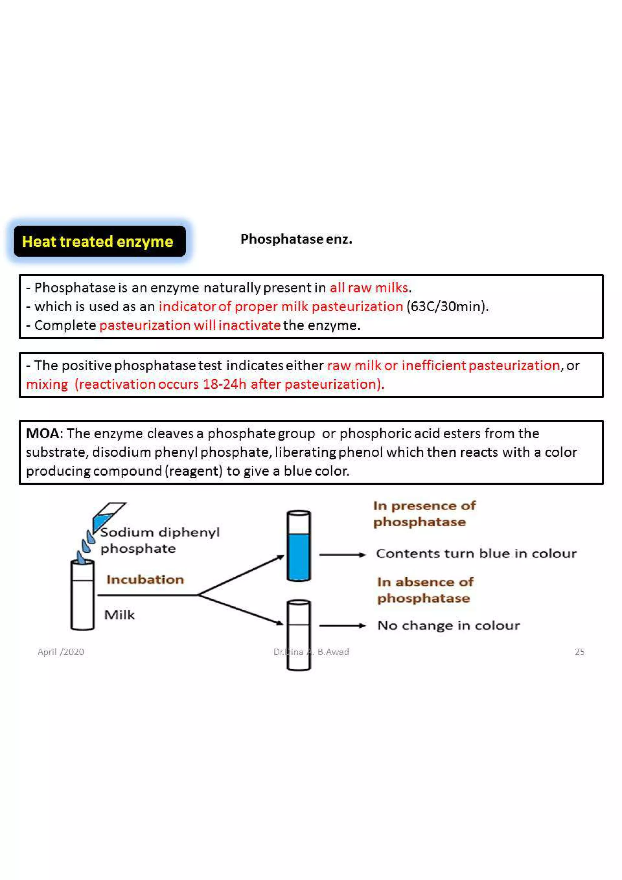 Milk enzymes | PDF