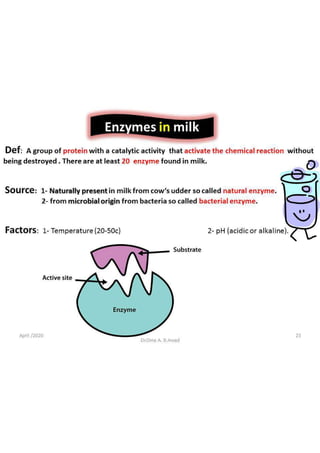 Milk enzymes | PDF