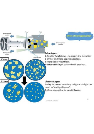 Milk enzymes | PDF