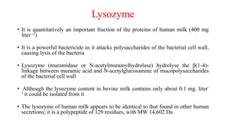 milk enzymes 2.pptx