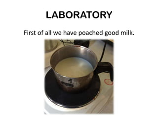 Milk experiment | PPT