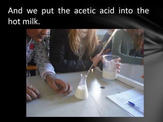 Milk experiment | PPTX