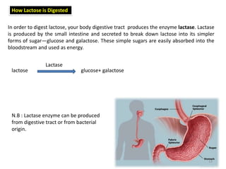 Milk fat, lactose 2020. | PDF
