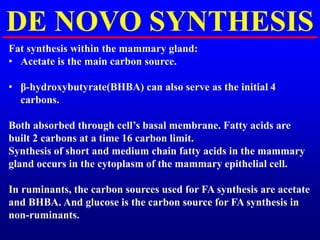 Milk Fat Synthesis | PDF