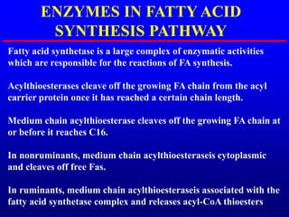 Milk Fat Synthesis | PDF