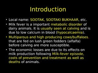 What Are The Signs Of Milk Fever In Dogs