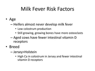 Milk fever.pptx