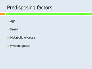 milk fever plus.ppt