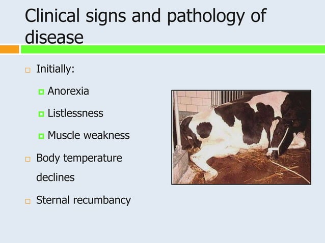 milk fever plus.ppt | Endocrine and Metabolic Diseases | Diseases and ...