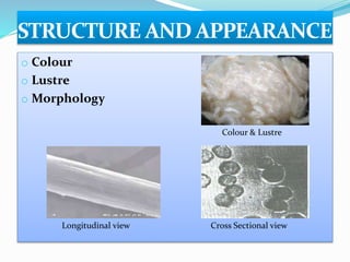 Milk fiber | PPTX
