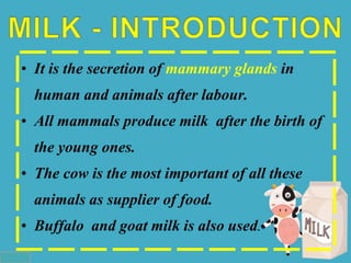 Milk | PPT