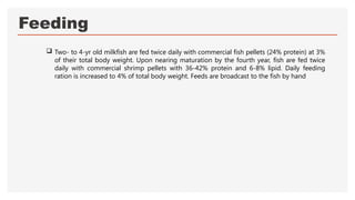 MILKFISH BROODSTOCK AND HATCHERY MANAGEMENT Lec. 4.pptx