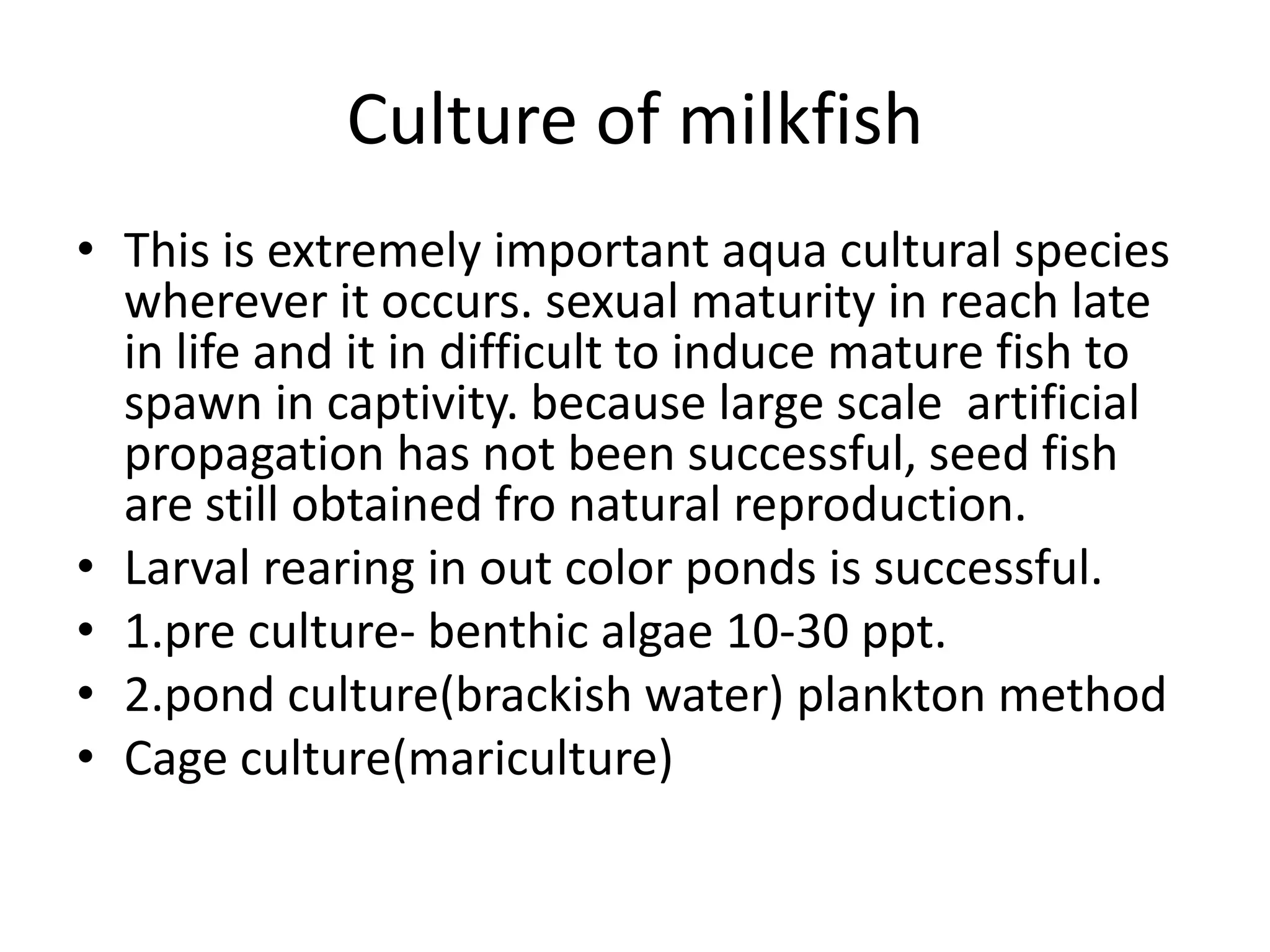 Milkfish culture report | PPTX