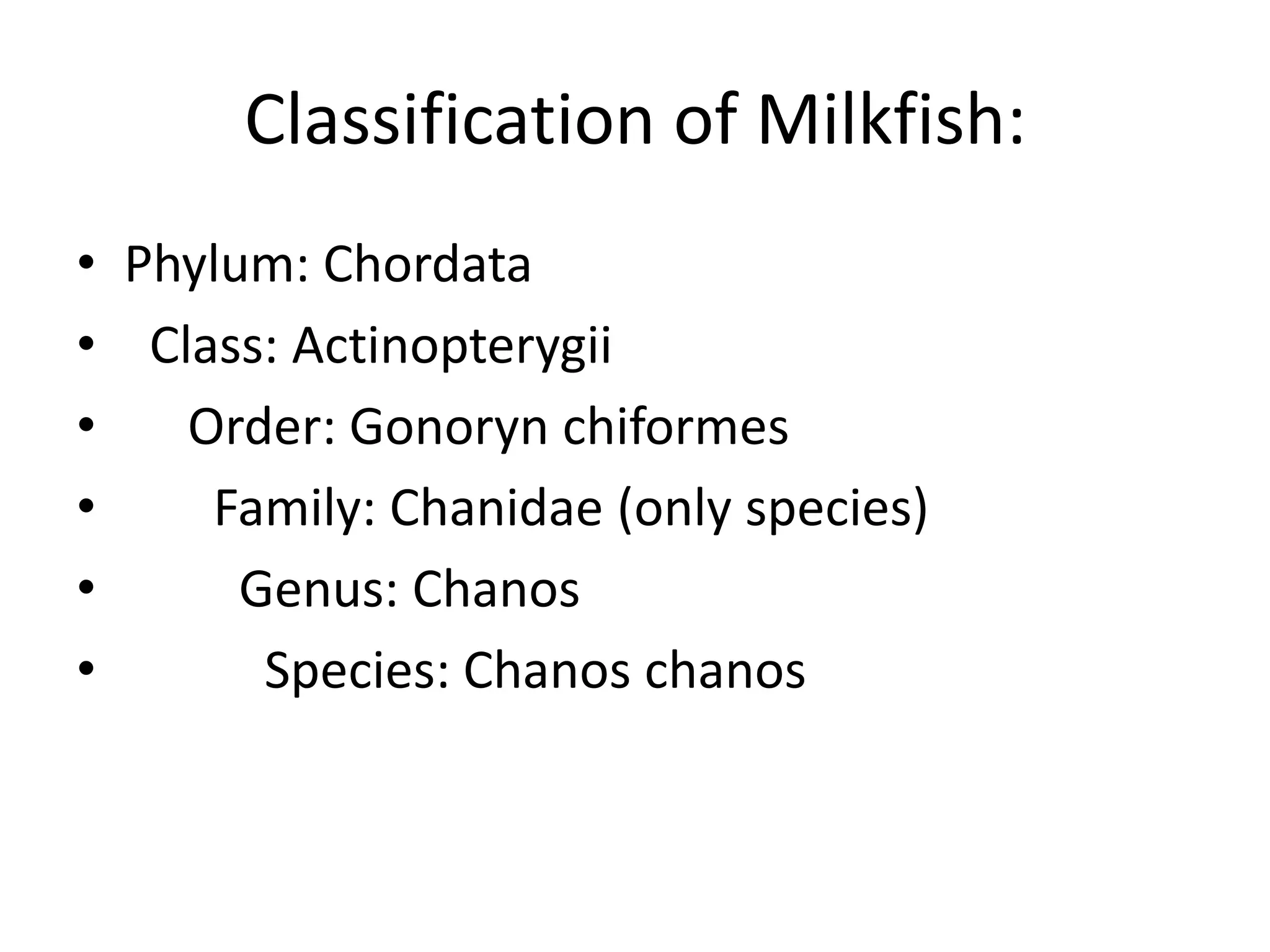 Milkfish culture report | PPTX