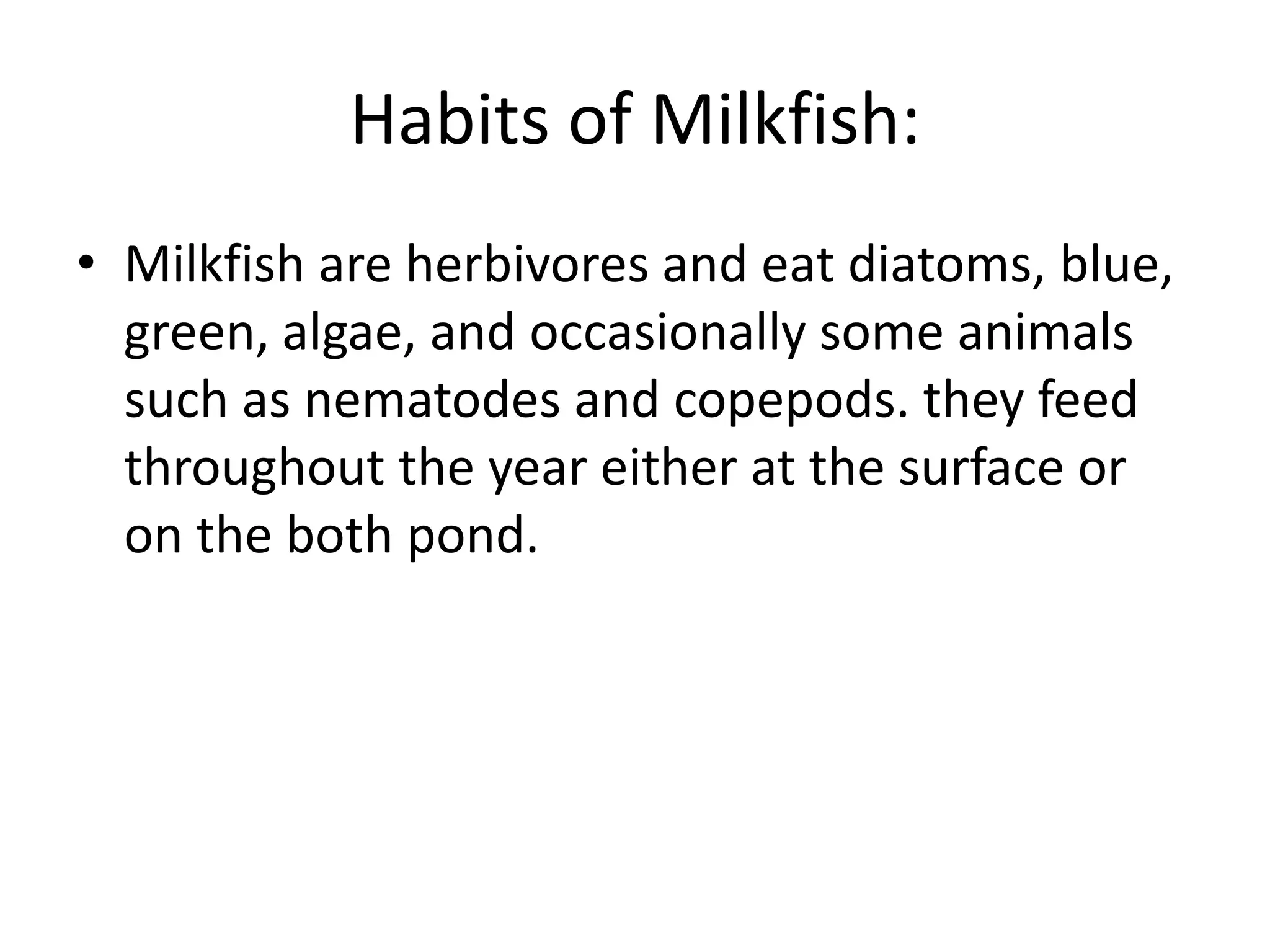 Milkfish culture report | PPTX