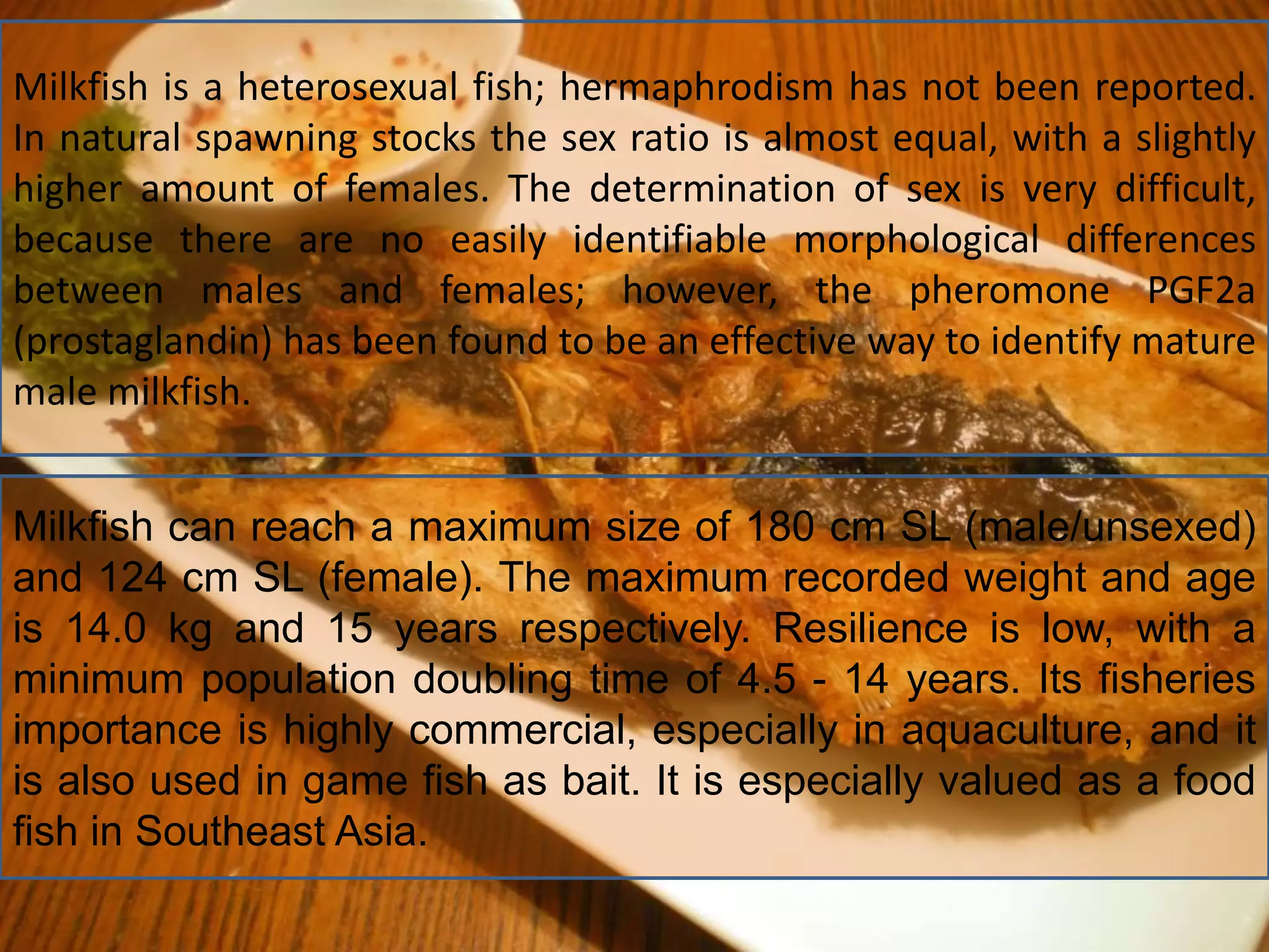 Milkfish grow out culture | PPTX