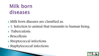 Milk hygiene and milk born diseases in english | PPTX