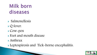 Milk hygiene and milk born diseases in english | PPTX