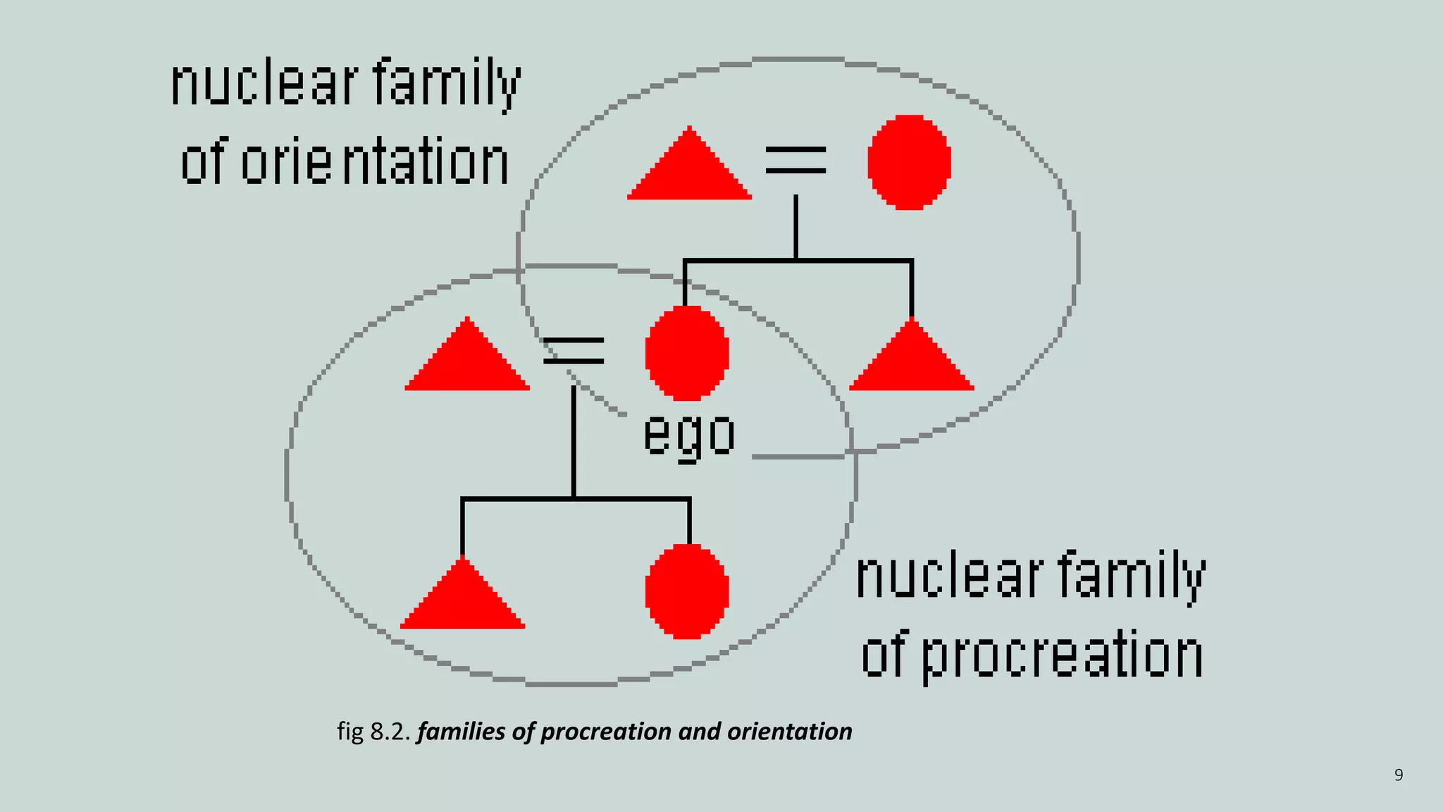 Kinship UCSP ppt | PPTX