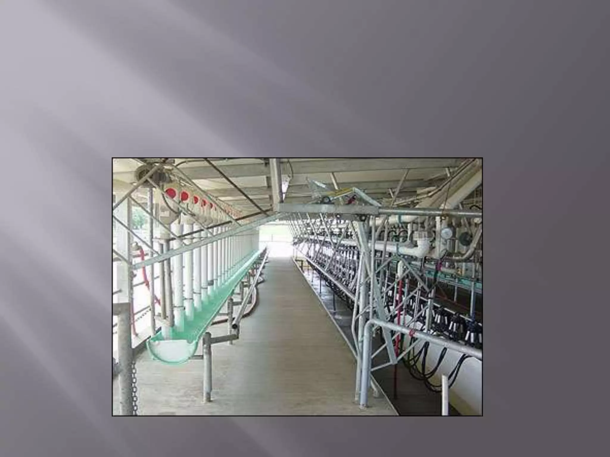Milking parlor | PPTX