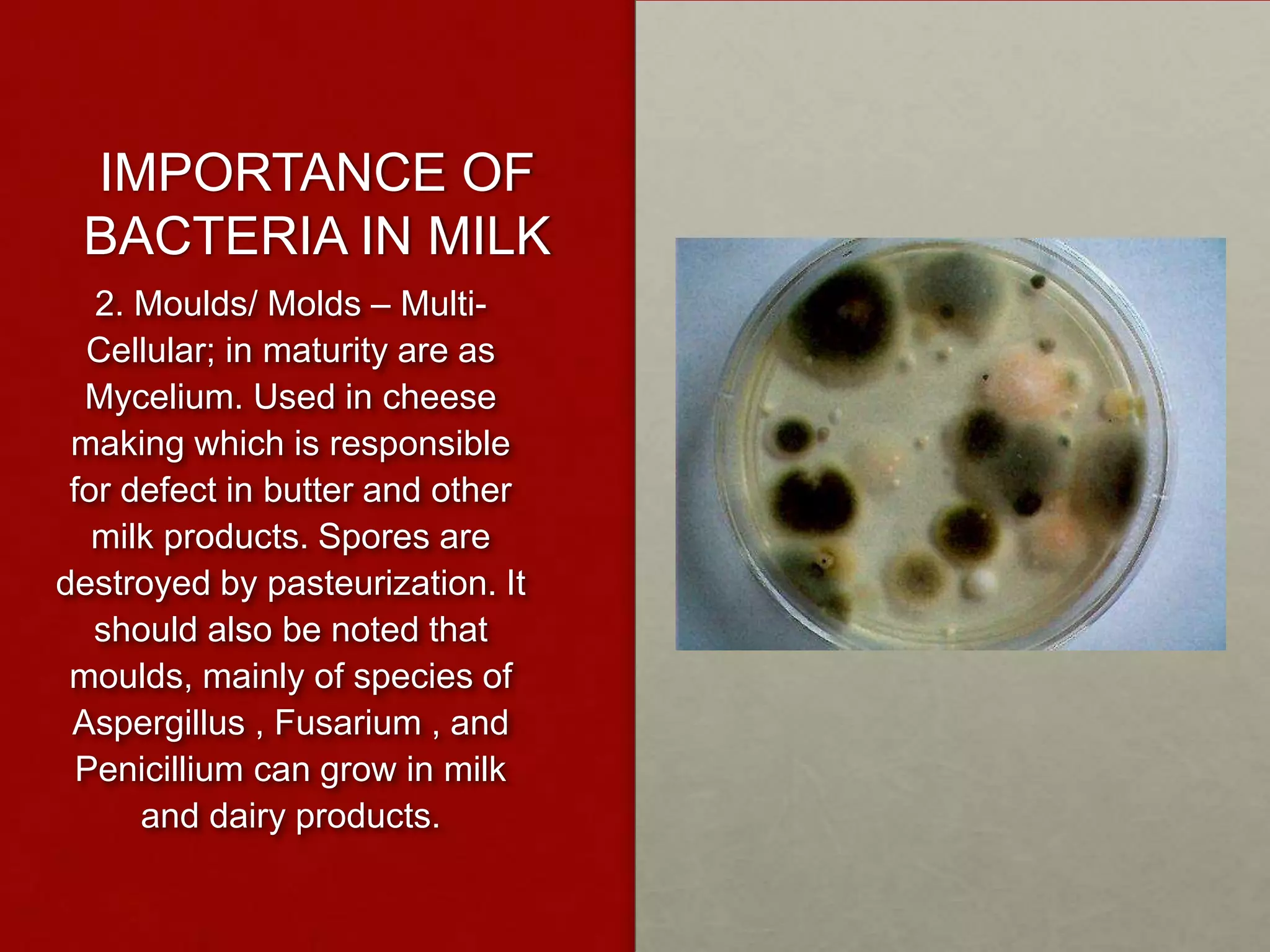 Milk Microbiology | PPTX