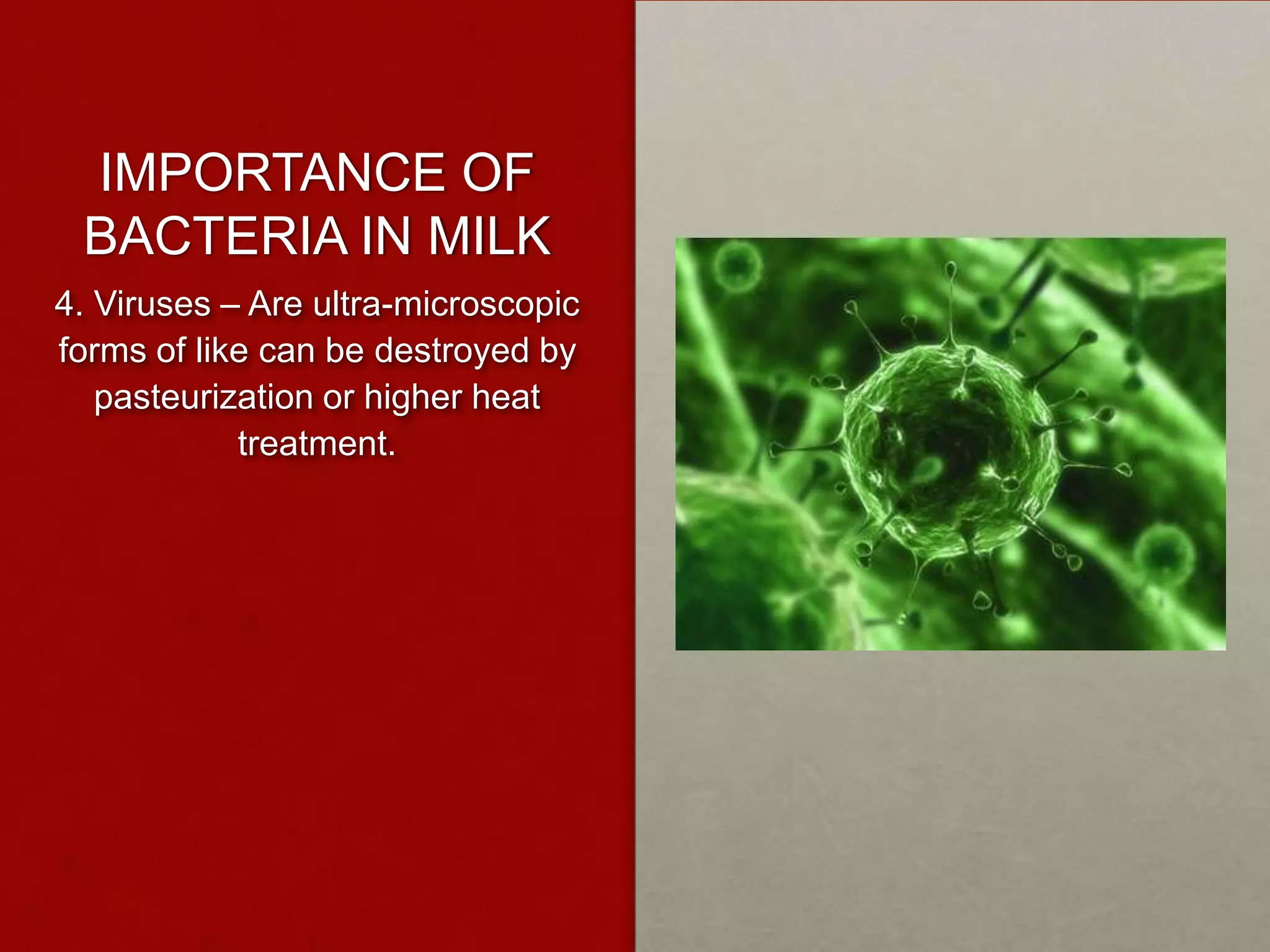 Milk Microbiology | PPTX | Biological Sciences | Science