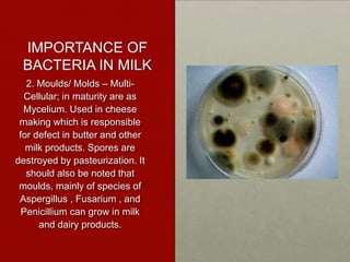 Milk Microbiology | PPT