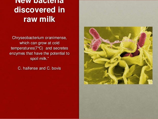 Milk Microbiology