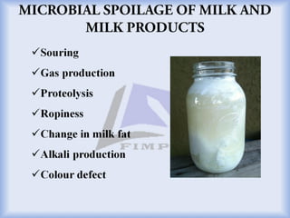 Contamination, Preservation and Spoilage of Milk and Milk Products | PDF