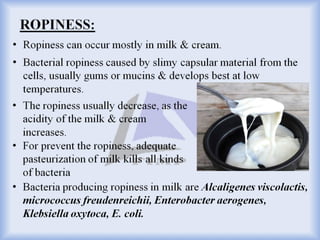 Contamination, Preservation and Spoilage of Milk and Milk Products | PDF