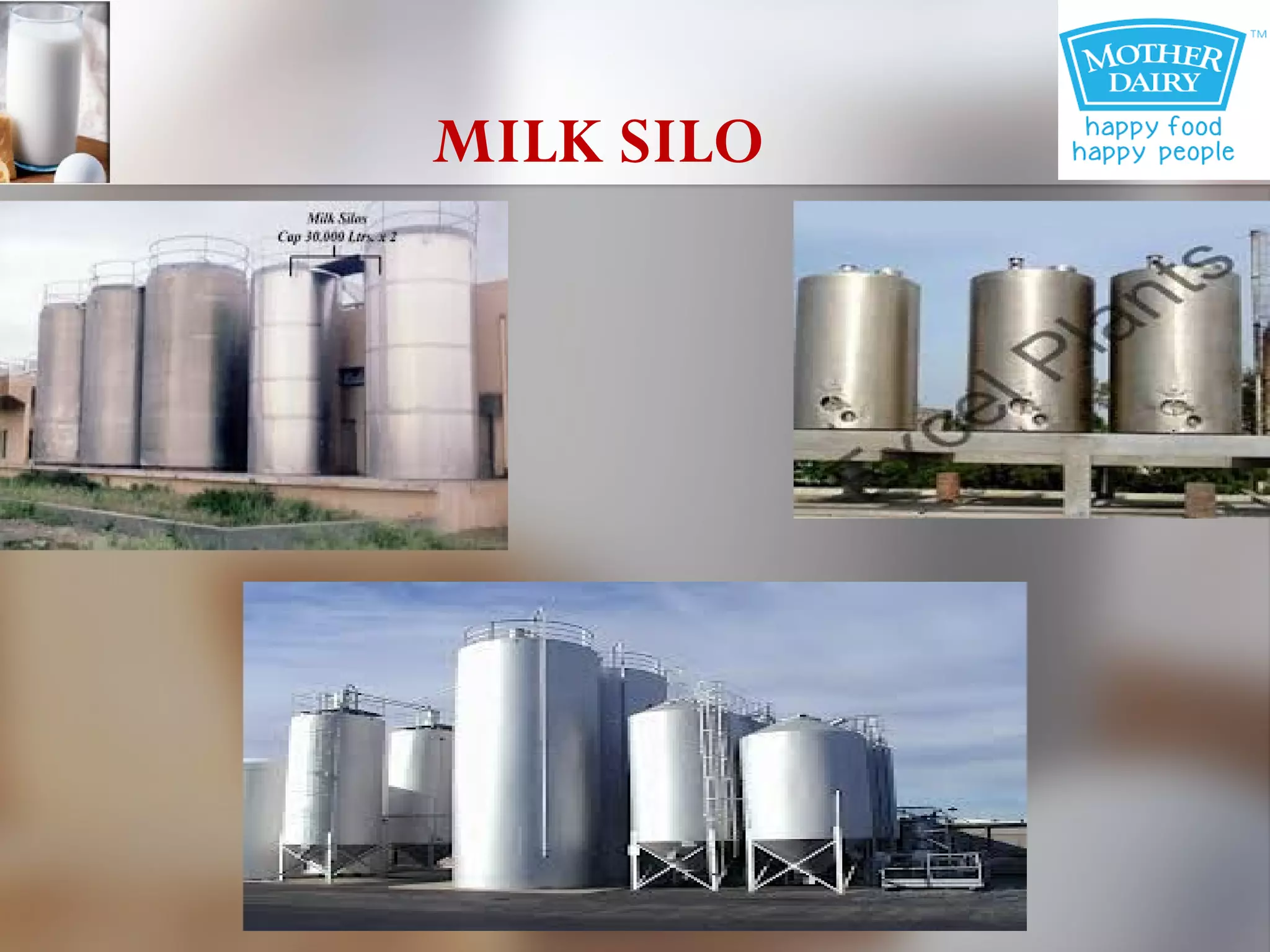 Milk processing | PPT