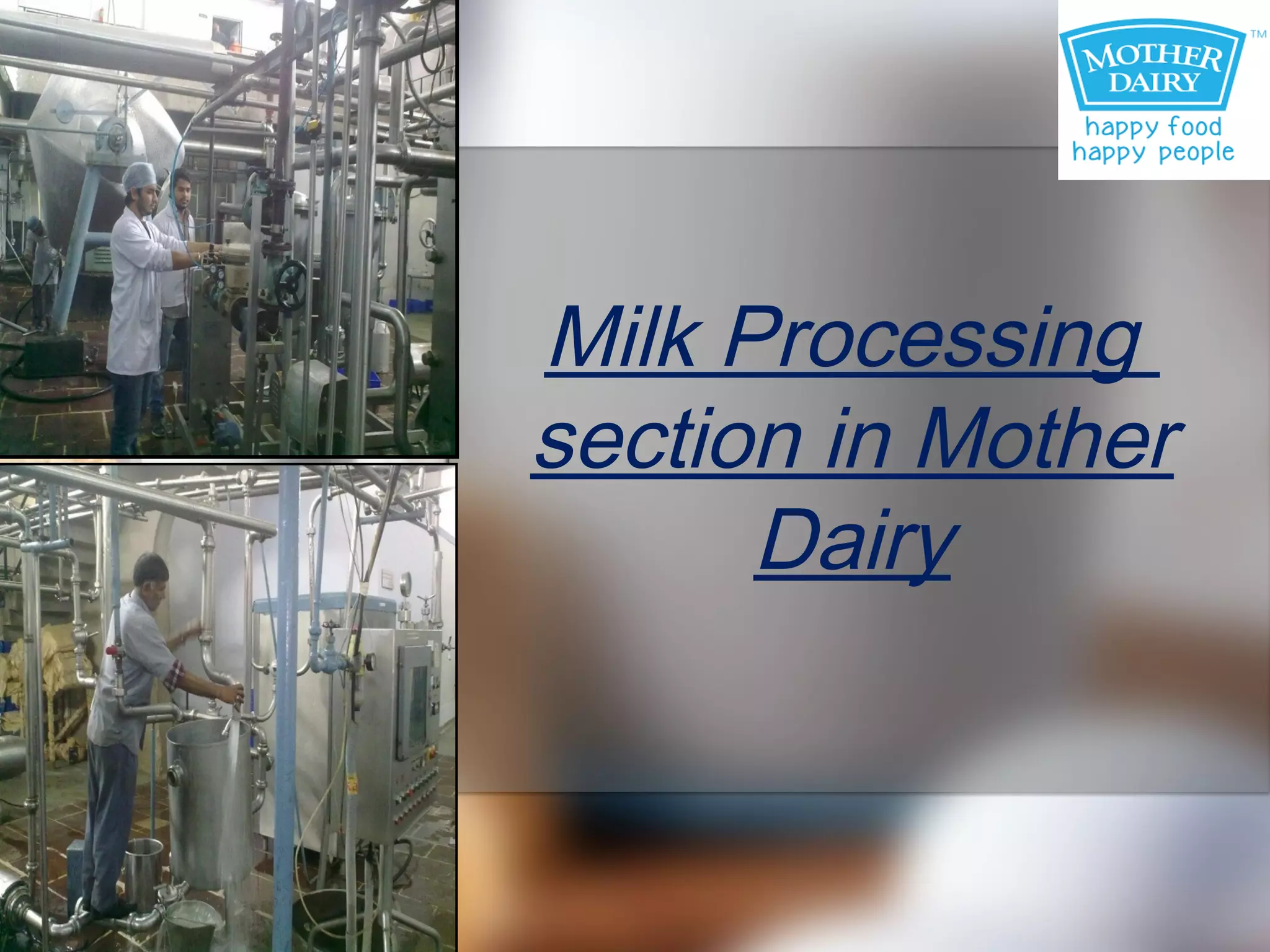 Milk processing | PPT