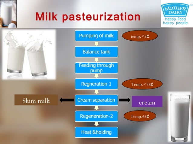 Milk processing | PPT