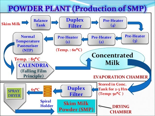Milk processing operations in a dairy plant