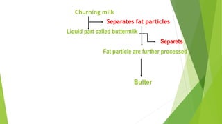 Presentation topic - Milk product , Bsc part three | PPTX