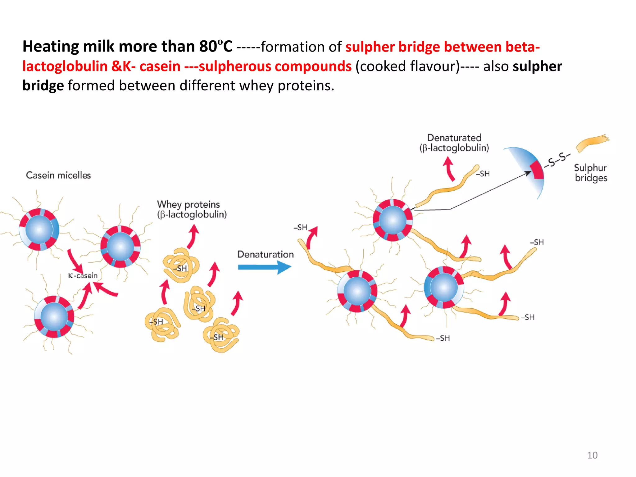 Milk protein casein, whey protein. | PDF