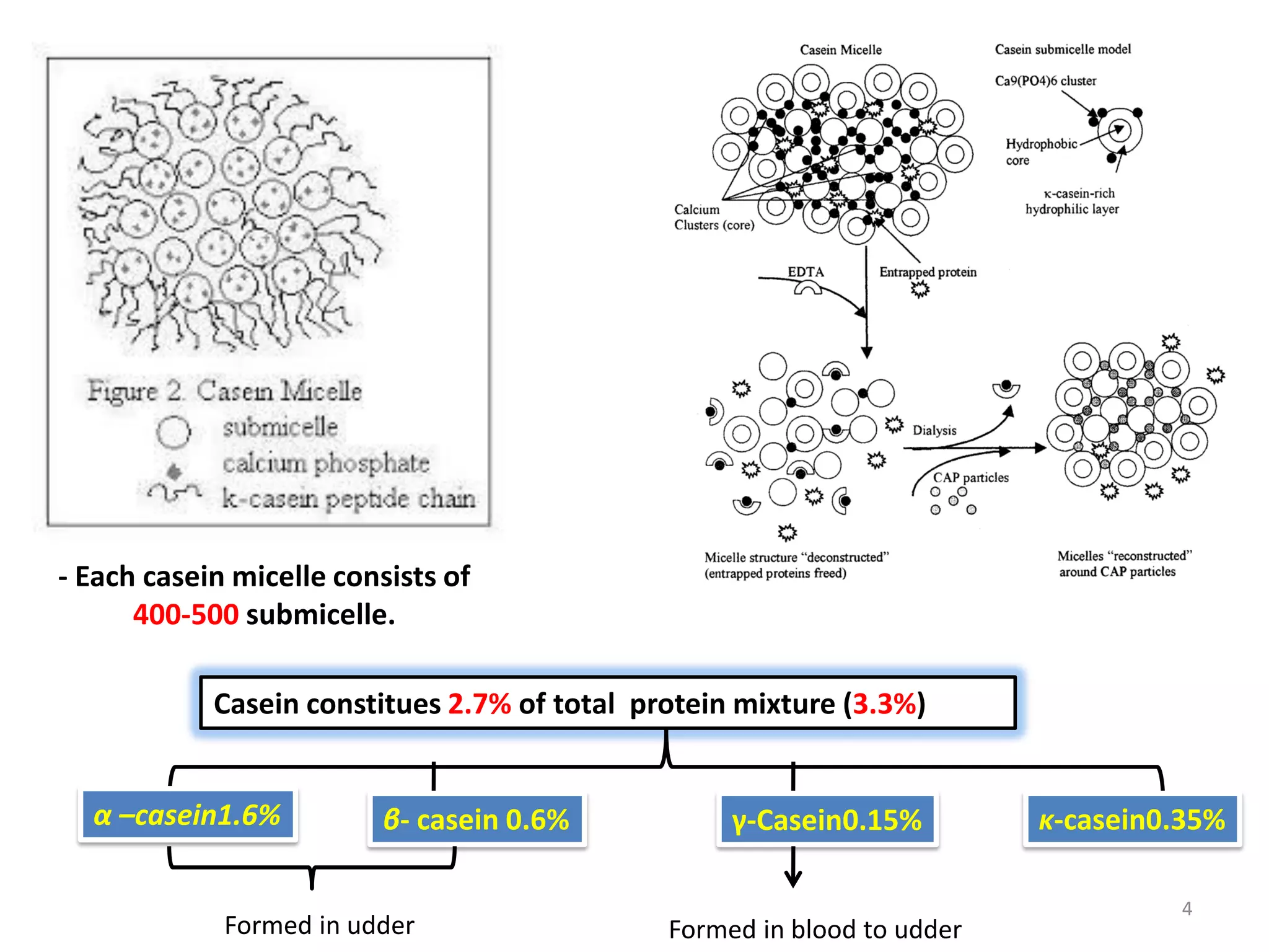Milk protein casein, whey protein. | PDF