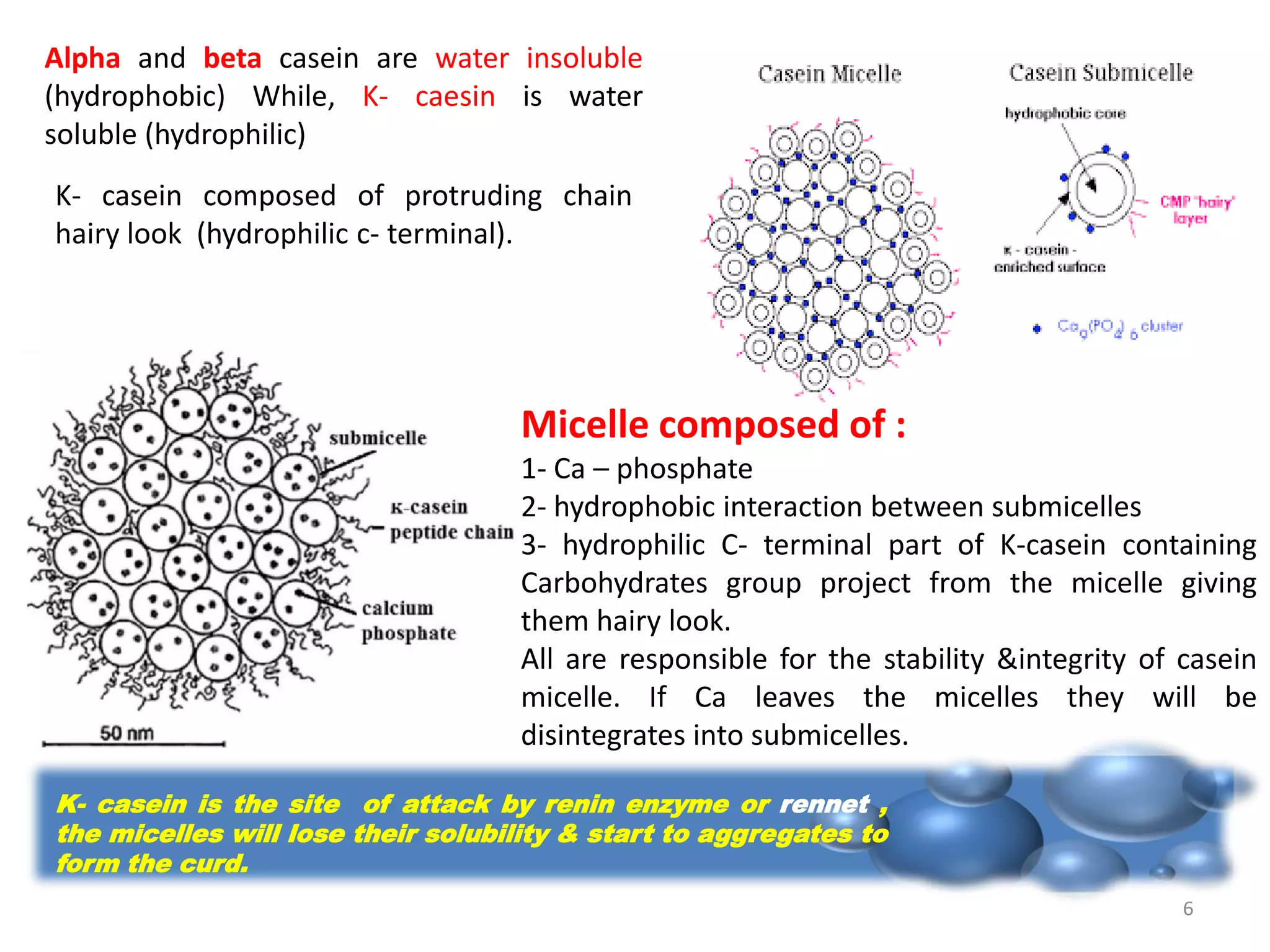 Milk protein casein, whey protein. | PDF