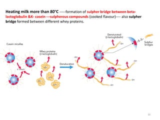 Milk protein casein, whey protein. | PDF