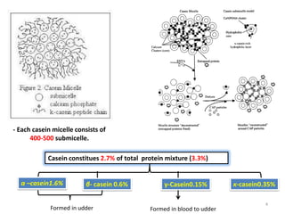 Milk protein casein, whey protein. | PDF