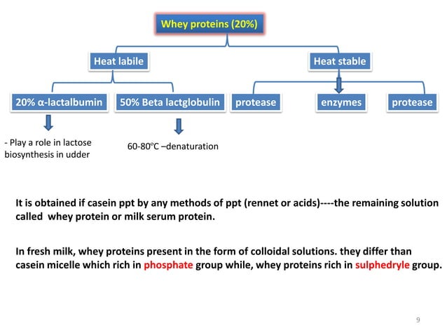 Milk protein casein, whey protein. | PDF