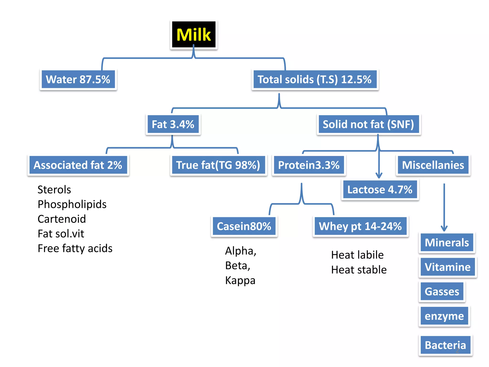 Milk protein introduction. | PDF