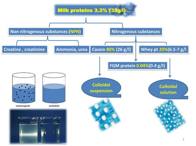 Milk protein introduction. | PDF | Chemistry | Science